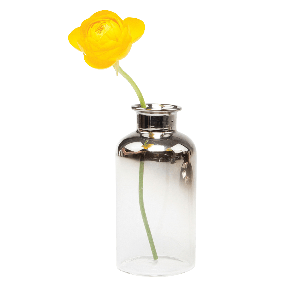 Aptar Glass Modern Flower Vase – Chive UK Wholesale