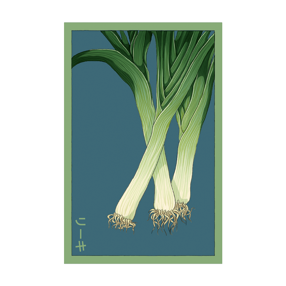 Leek Vegetable Seeds Packet – Chive UK Wholesale